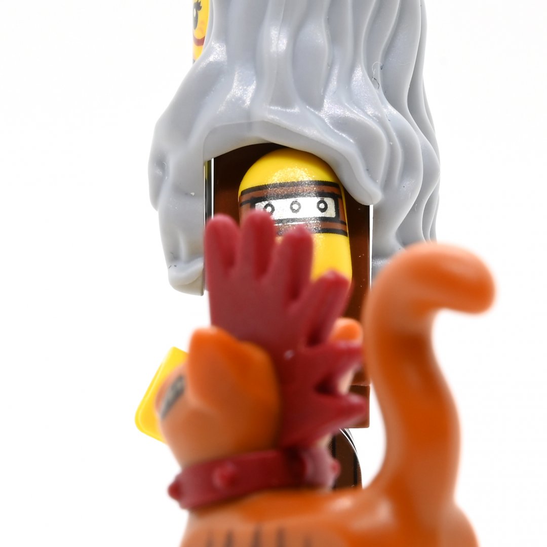 Sherry Scratchen-Post - | Lego Minifigures | lego.minifigures.world