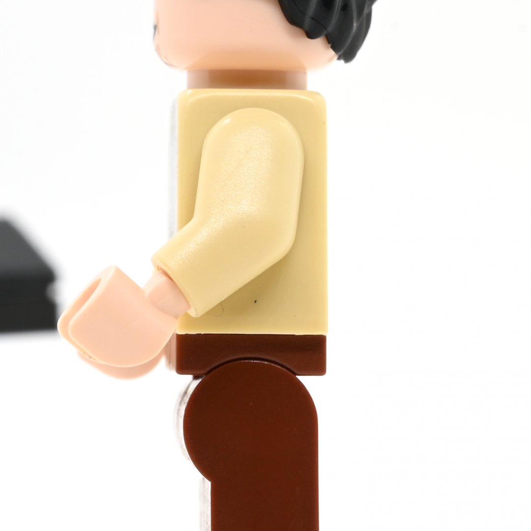 Ross Geller - | Lego Minifigures | lego.minifigures.world