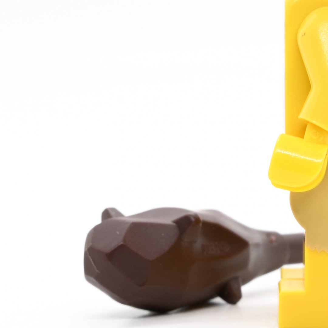 Cave Woman Lego Minifigures Legominifiguresworld