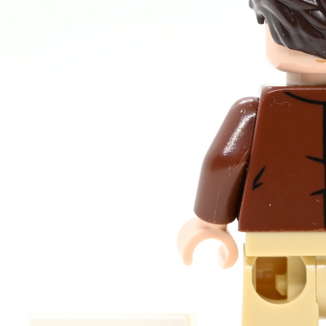 Chandler Bing - | Lego Minifigures | lego.minifigures.world