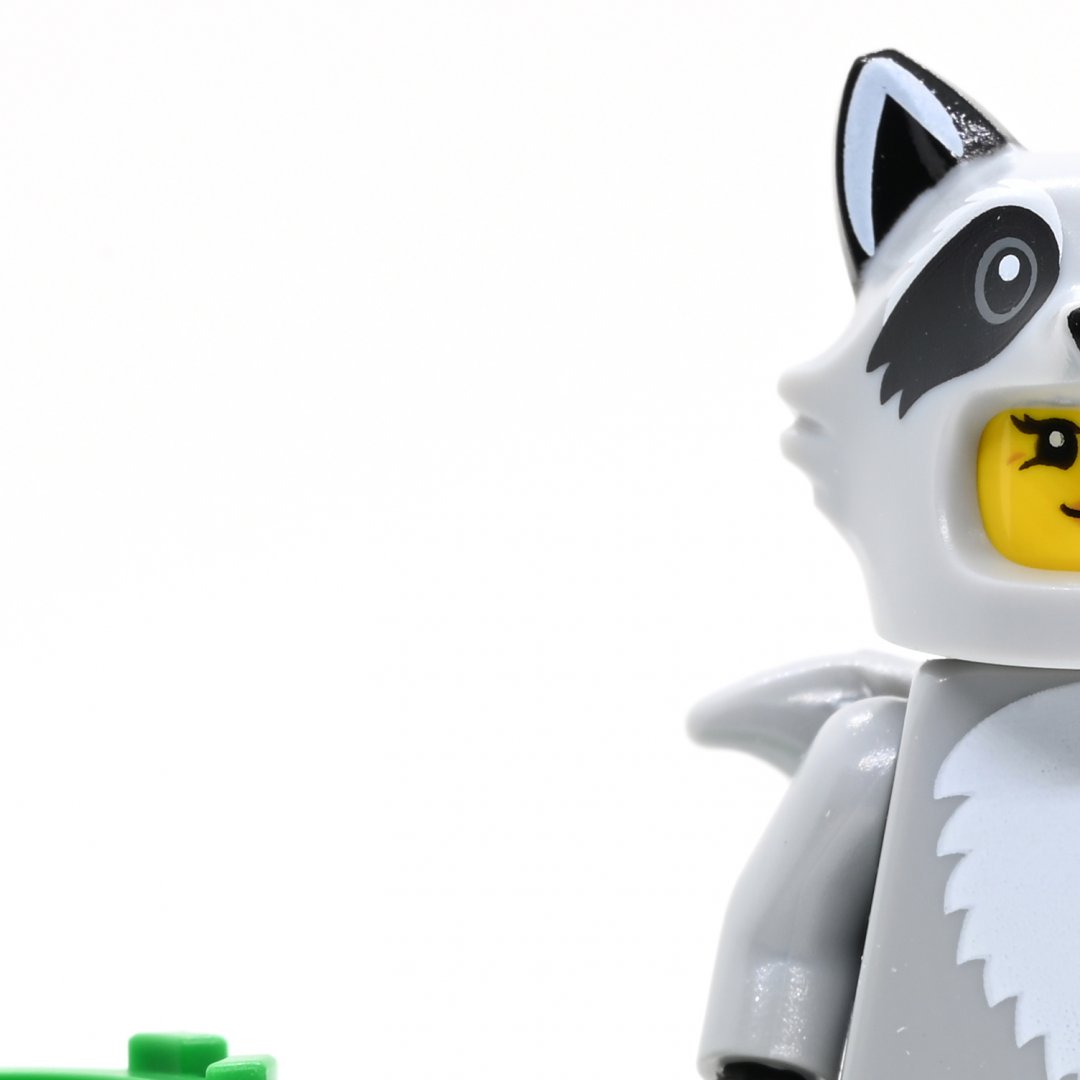 Raccoon Costume Fan - | Lego Minifigures | lego.minifigures.world