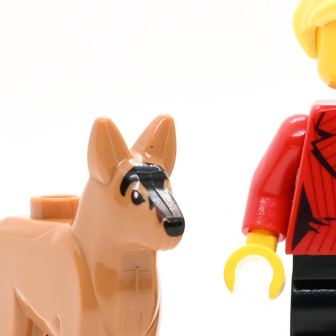 Press Woman / Reporter - | Lego Minifigures | lego.minifigures.world