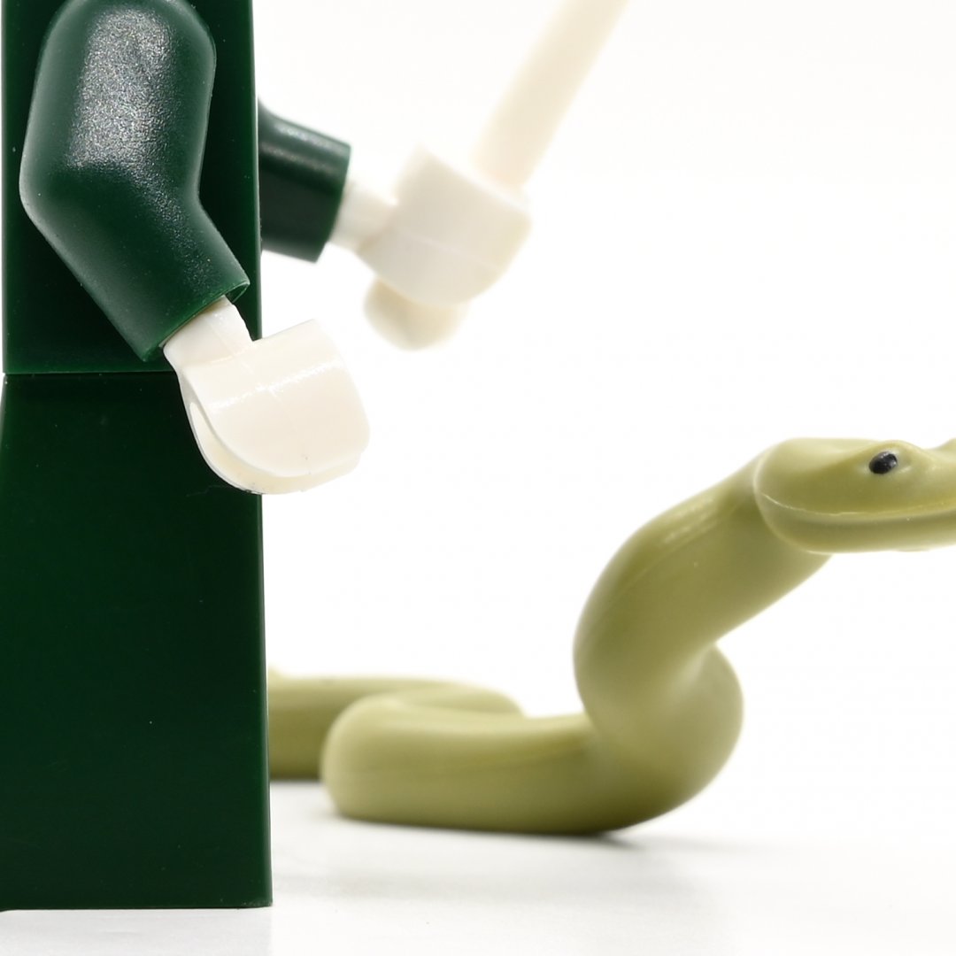 Lord Voldemort - | Lego Minifigures | lego.minifigures.world